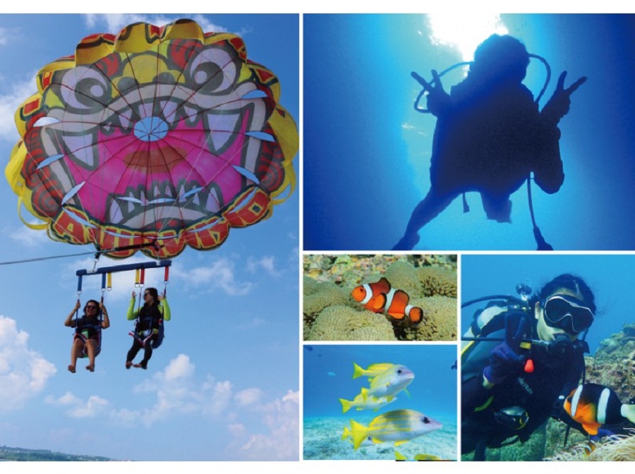 Diving and Fun In Sharm El Sheikh - Aladdin Travels
