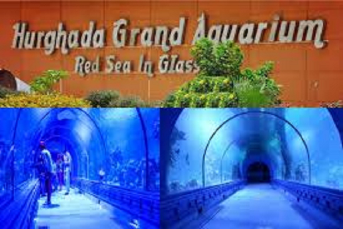 Hurghada Grand Aquarium | Aladdin Travels
